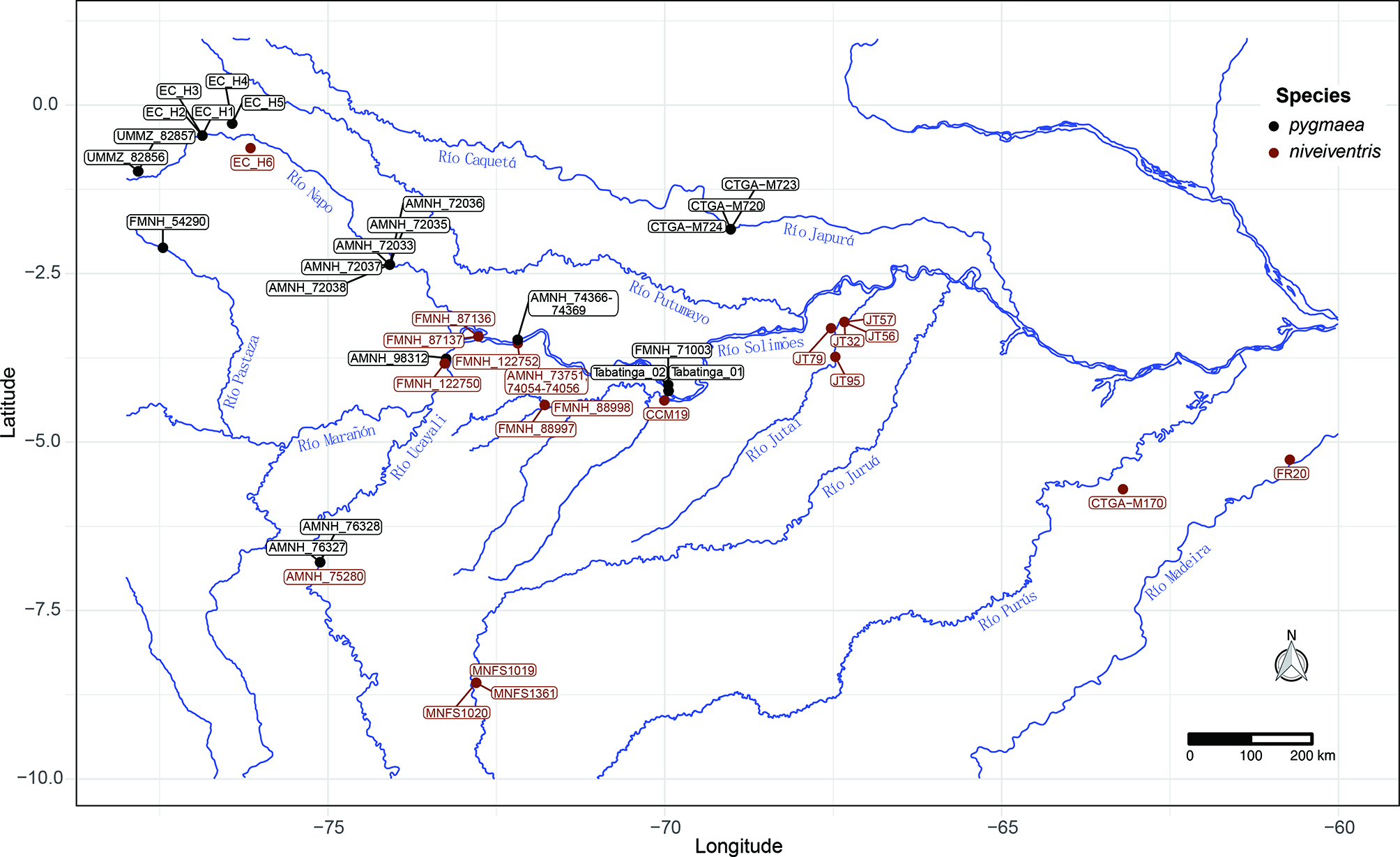 Pygmy Marmoset Map